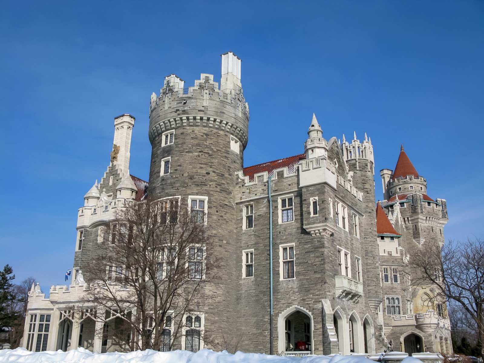 Qué ver y hacer en Toronto: 10 visitas obligadas - Go Study Canada